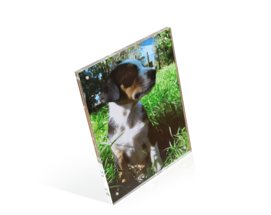 CVS Pharmacy | Acrylic Panels by Photo Prints Now